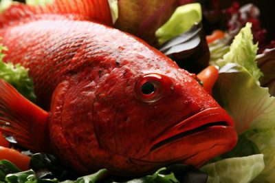 Delicious Red Snapper Salad